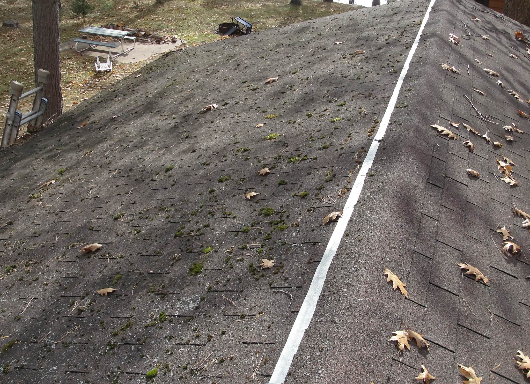 Cleaning Your Roof- Best Tips | J&B Construction